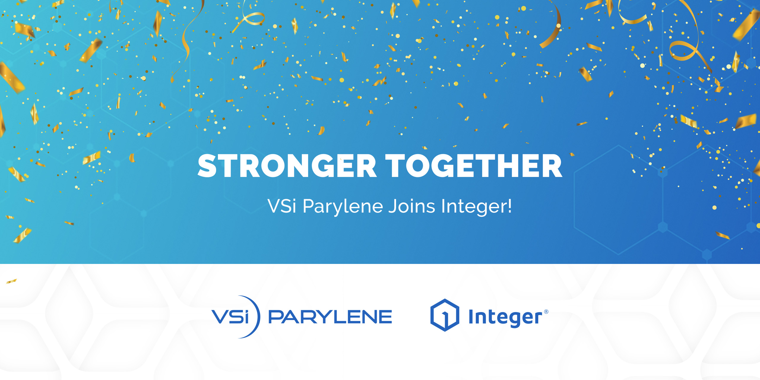 Acquisition by Integer: A New Era for VSi Parylene